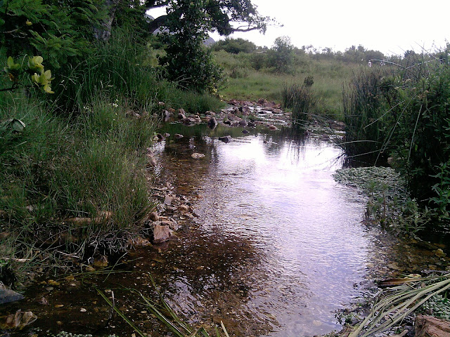 Matibidi Our Home: MATIBIDI OUR HOME: KADISHI WETLAND AND RIVER